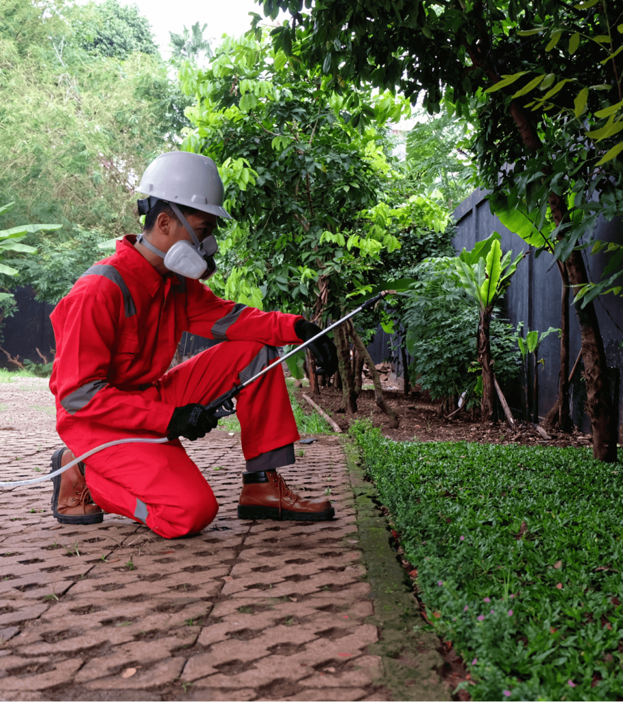 Jasa Anti Rayap | Pest Control Berpengalaman & Profesional